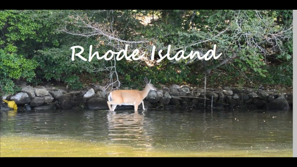 What is the location of Saunderstown, Rhode Island? - The Rhode Island ...