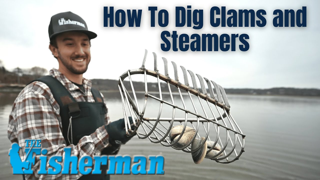 What is the process of clam digging in Rhode Island? - The Rhode Island ...
