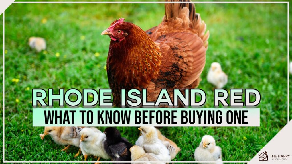 Who is departing from Channel 10 News in the vicinity of Rhode Island ...